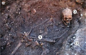 Uncover your ties to King Richard III, the last king of the House of York